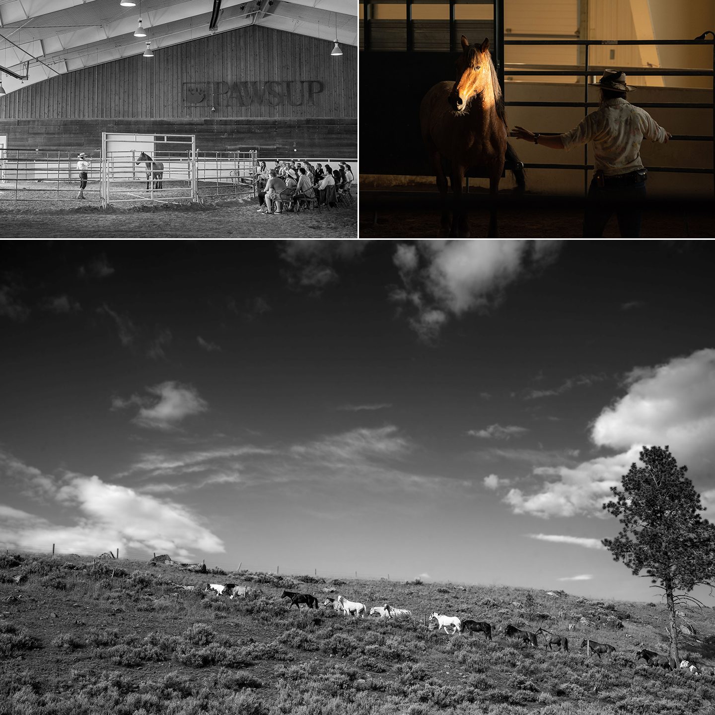 Paws Up Montana Luxury Ranch Resort - Jensen Sutta Event Photography Blog